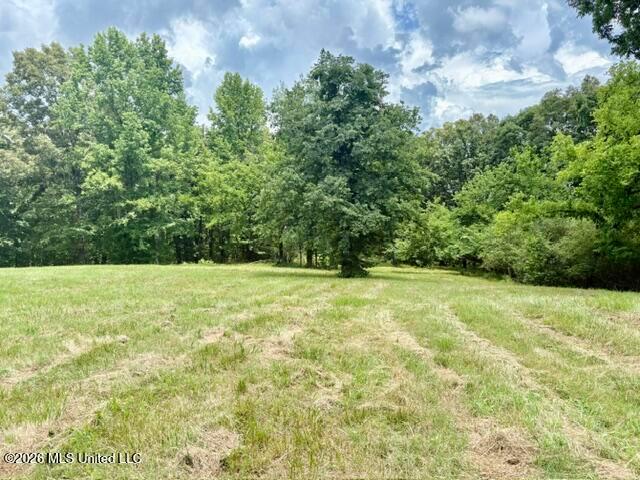 703 Burton Road