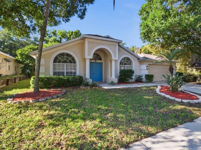 703 Grand Canyon Dr, Valrico, FL 33594 | MLS #O6400