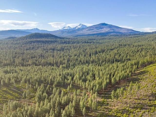 70410 McAllister Road 2060 Rd Unit Fs, Sisters, OR 97759