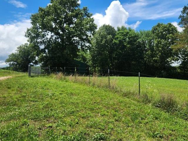 704 Deep Gap Rd, Jackson, TN 38301