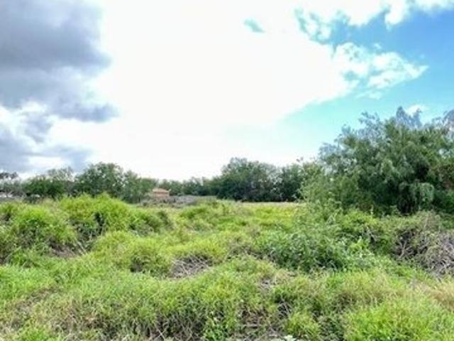 704 Monterey Dr, Weslaco, TX 78599