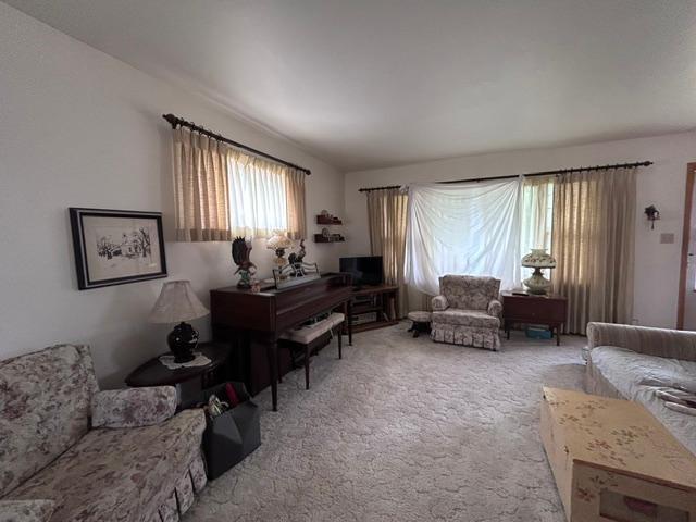 704 Maple Drive