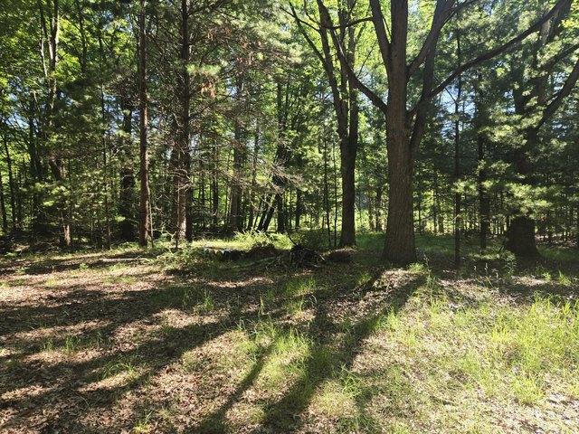 704 N Morris St, Pentwater, MI 49449