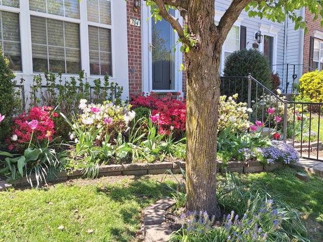 704 Shallow Ridge Court