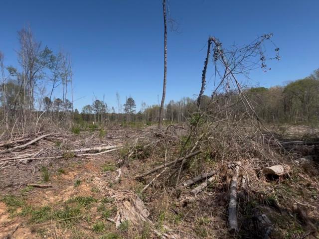 70555 Alabama Highway 77 # 1