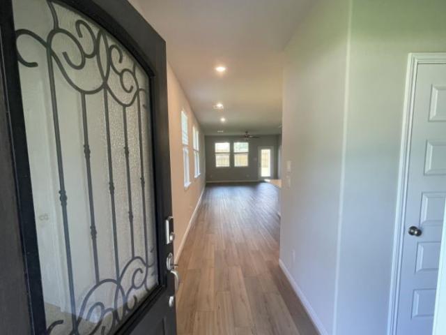7052 Silverleaf Oak Street