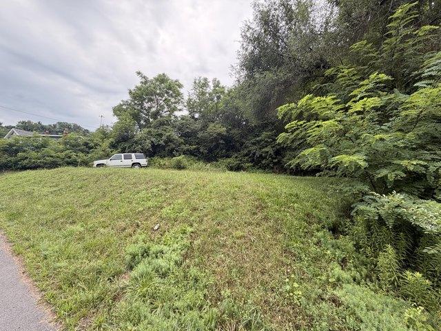 705 Coleman St, Covington, VA 24426