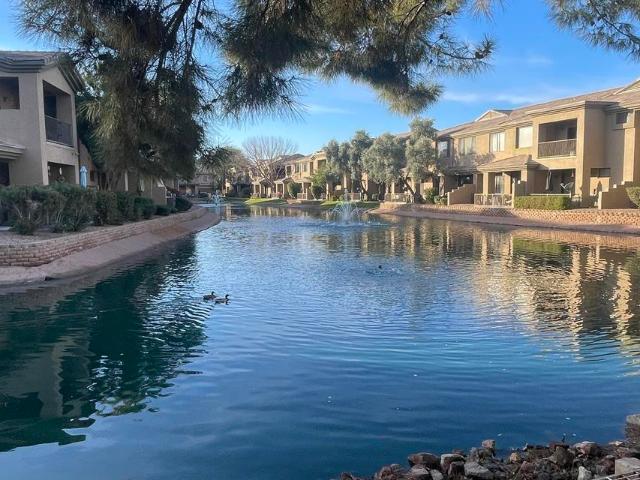 705 w queen creek road # 1232