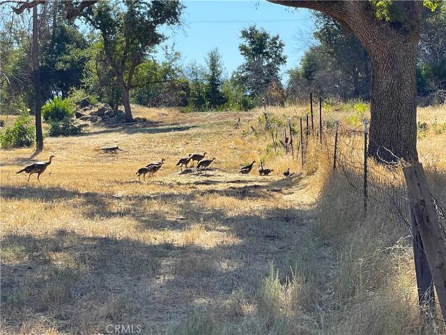 705 Triangle Rd, Mariposa, CA 95338 | Compass