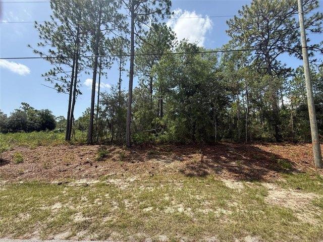 7069 N Santos Dr, Citrus Springs, FL 34434