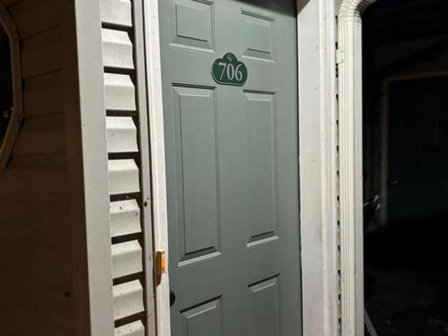 706 Horseshoe Drive # 706