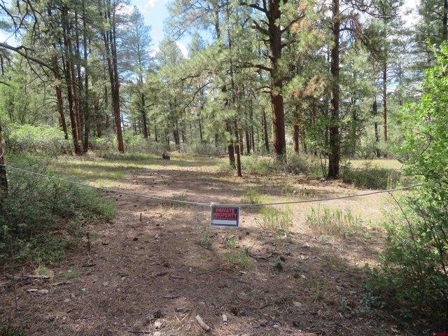 706 Hilltop Dr, Pagosa Springs, CO 81147