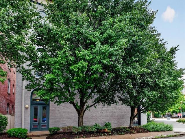 706 Massachusetts Avenue # 203