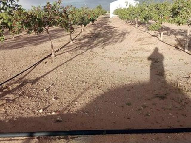 7074 Kevil Rd, Carlsbad, NM 88220