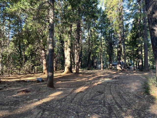 7076 Alward Way, Shingletown, CA 96088