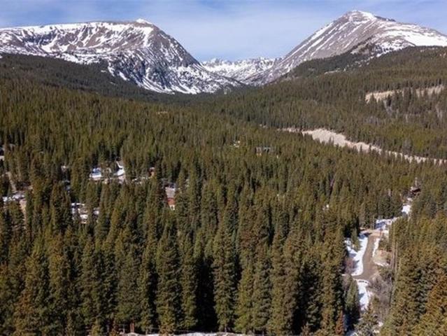707 S County Road 674 Lot 3, Breckenridge, CO 80424
