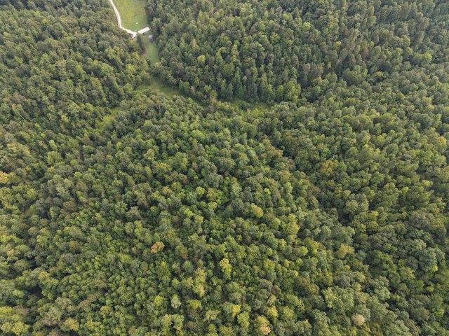 707 Shotgun Hollow Rd, Frenchburg, KY 40322