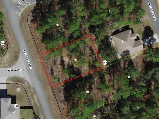 7085 N Henderson Way, Dunnellon, FL 34434