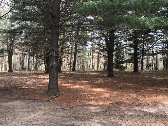 7087 Creekwood Drive, South Haven, MI 49090 | MLS #26015 | Compass
