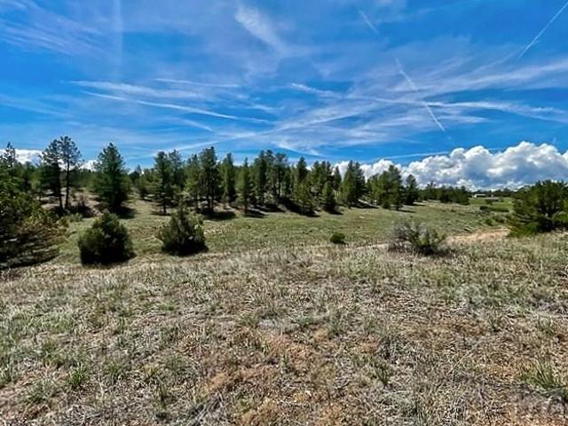 7080 Copper Gulch Rd, Cotopaxi, CO 81223 | MLS #241060