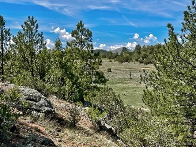 7080 Copper Gulch Road