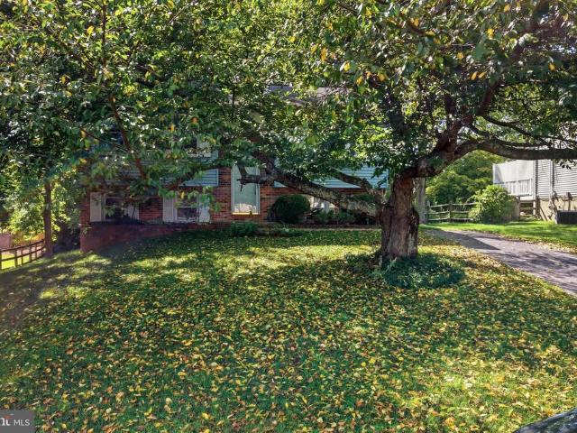 7080 Saddle Drive