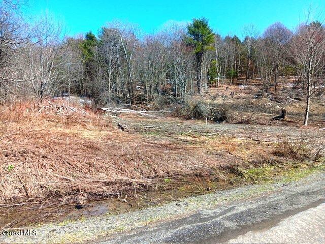 708 Smokey Ave, Maryland, NY 12155 | MLS #202421 | Compass