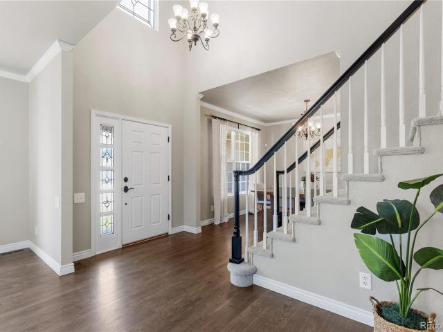 7099 Cerney Circle