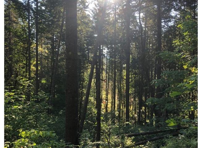7091 Little Buck Creek Rd