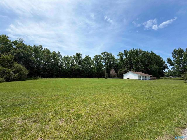 709 County Road 296