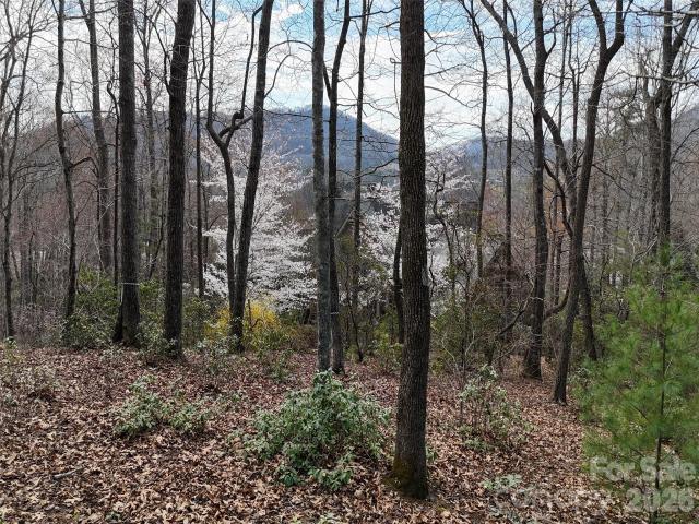 709 Craggyside Ln, Unit 24, Arden, NC 28704 | MLS #4356