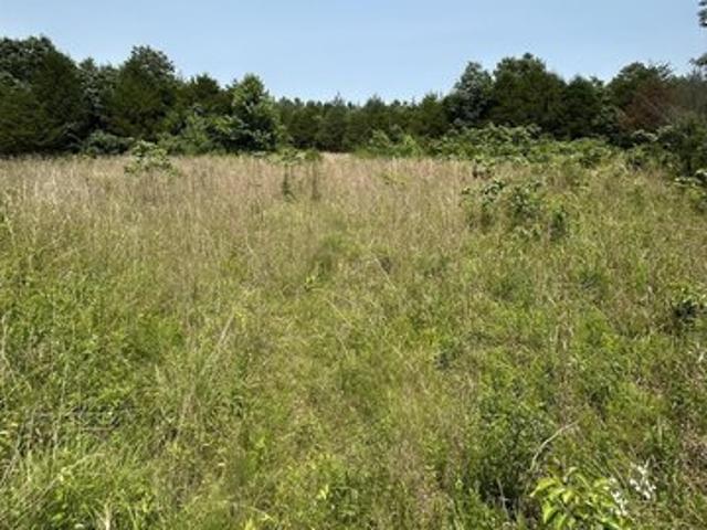 709 Lawrence Road 145, Smithville, AR 72466