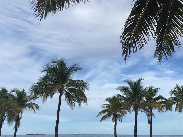 709 SE 15th St, Unit 1, Fort Lauderdale, FL 33316 | MLS #F10545