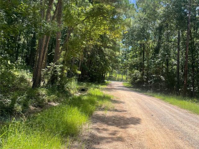 70 Tall Timbers Trl, Coldspring, TX 77331 | MLS #80847