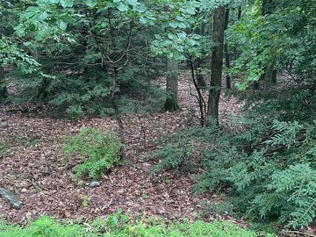 70 Woodland Rd, Albrightsville, PA 18210