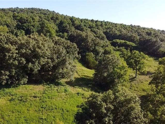 70 acres 412 Highway