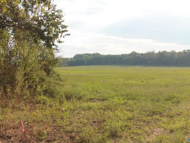 70 Acres Huckaby Bridge Road
