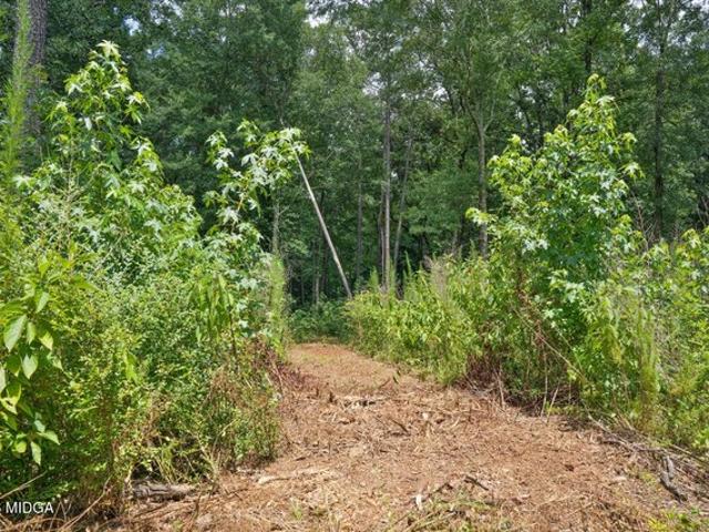 70 Askin Pl Lot 1, Culloden, GA 31016