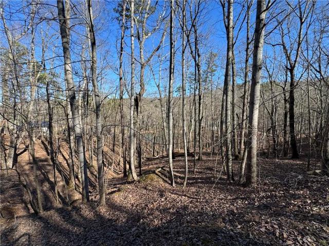 70 Geyser Ct, Ranger, GA 30734 | MLS #7708