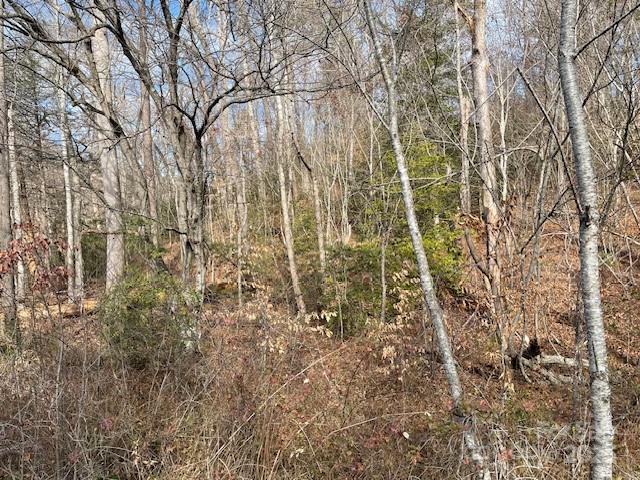 70 Highway W Hwy, Old Fort, NC 28762 | MLS #4212 | Compass