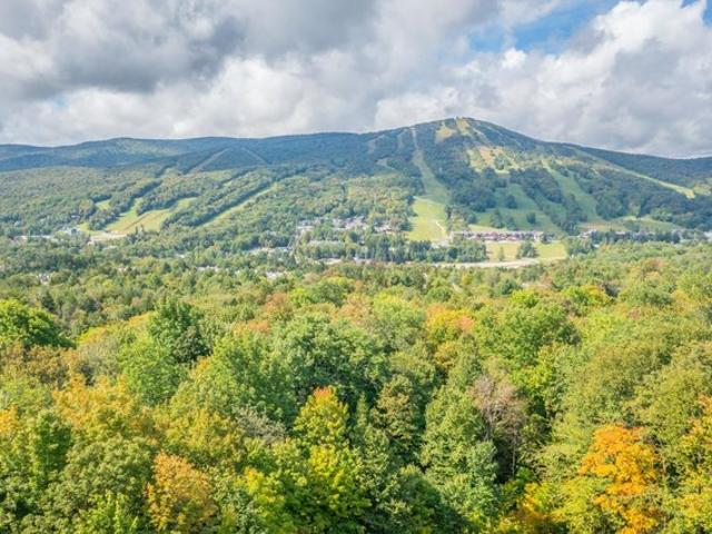 70 Overlook Dr, Dover, VT 05356