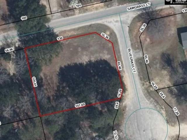 70 Sawgrass Ct, Sumter, SC 29150