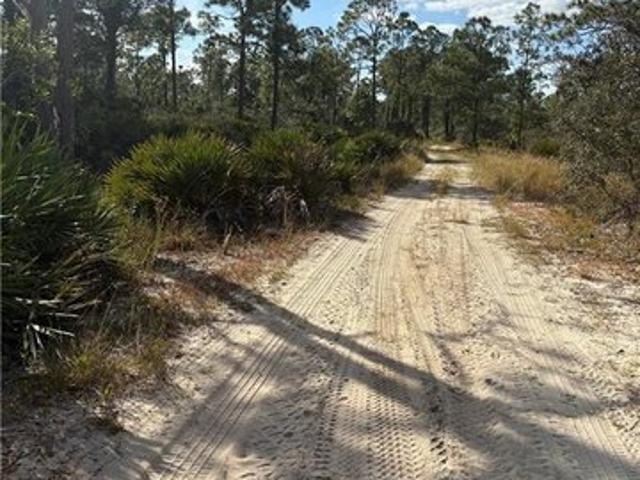 7106 Orchid Pl, Sebring, FL 33875