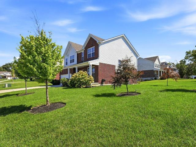 7109 Dudley View Drive