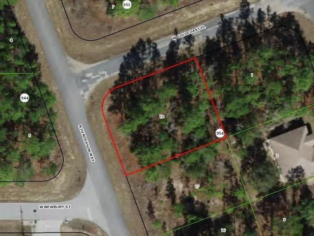 7101 N Henderson Way, Dunnellon, FL 34434