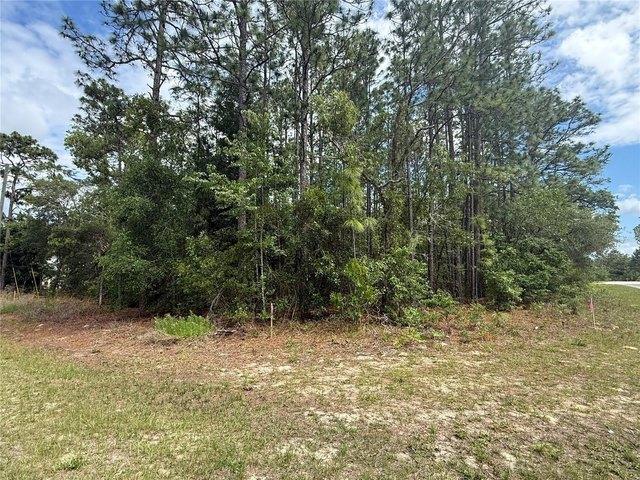 7103 N Hemmingway Dr, Dunnellon, FL 34434