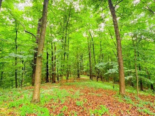 710 Apel Rd, Franklin Furnace, OH 45629