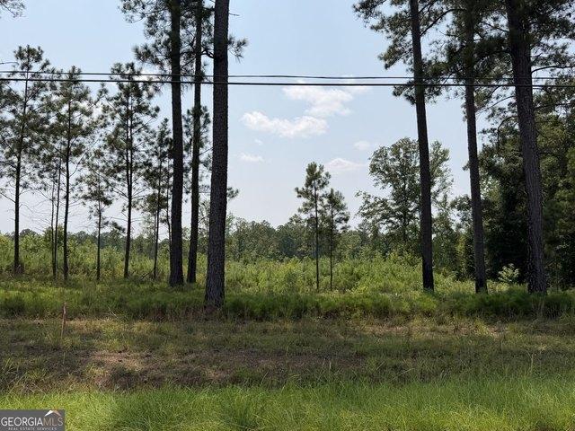 710 Giles Rd, Forsyth, GA 31029