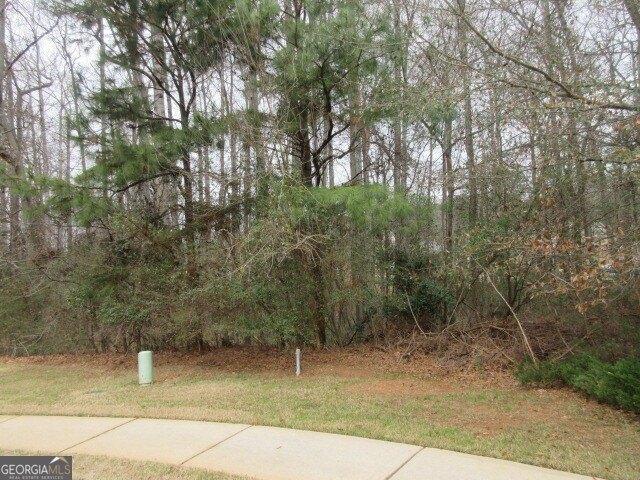 710 Donner Ct, McDonough, GA 30252