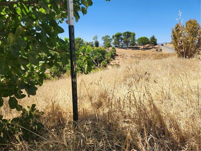 7116 Weatherby, Corning, CA 96021